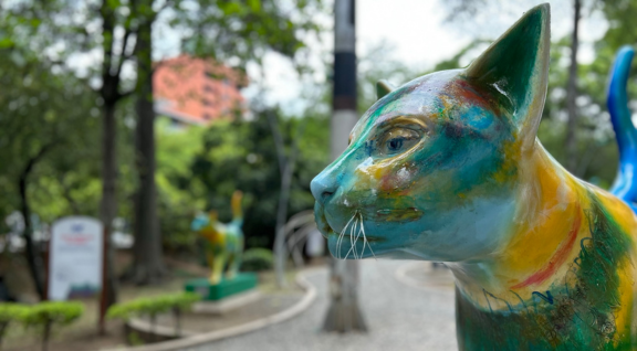Parque de los gatos Cali | Vuela con clic